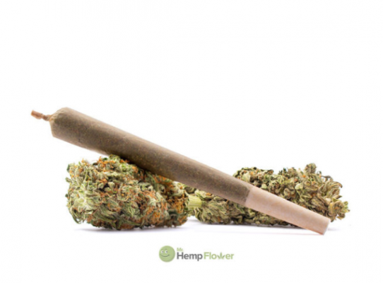 Best Georgia Hemp Flower- Where To Purchase and Current Laws